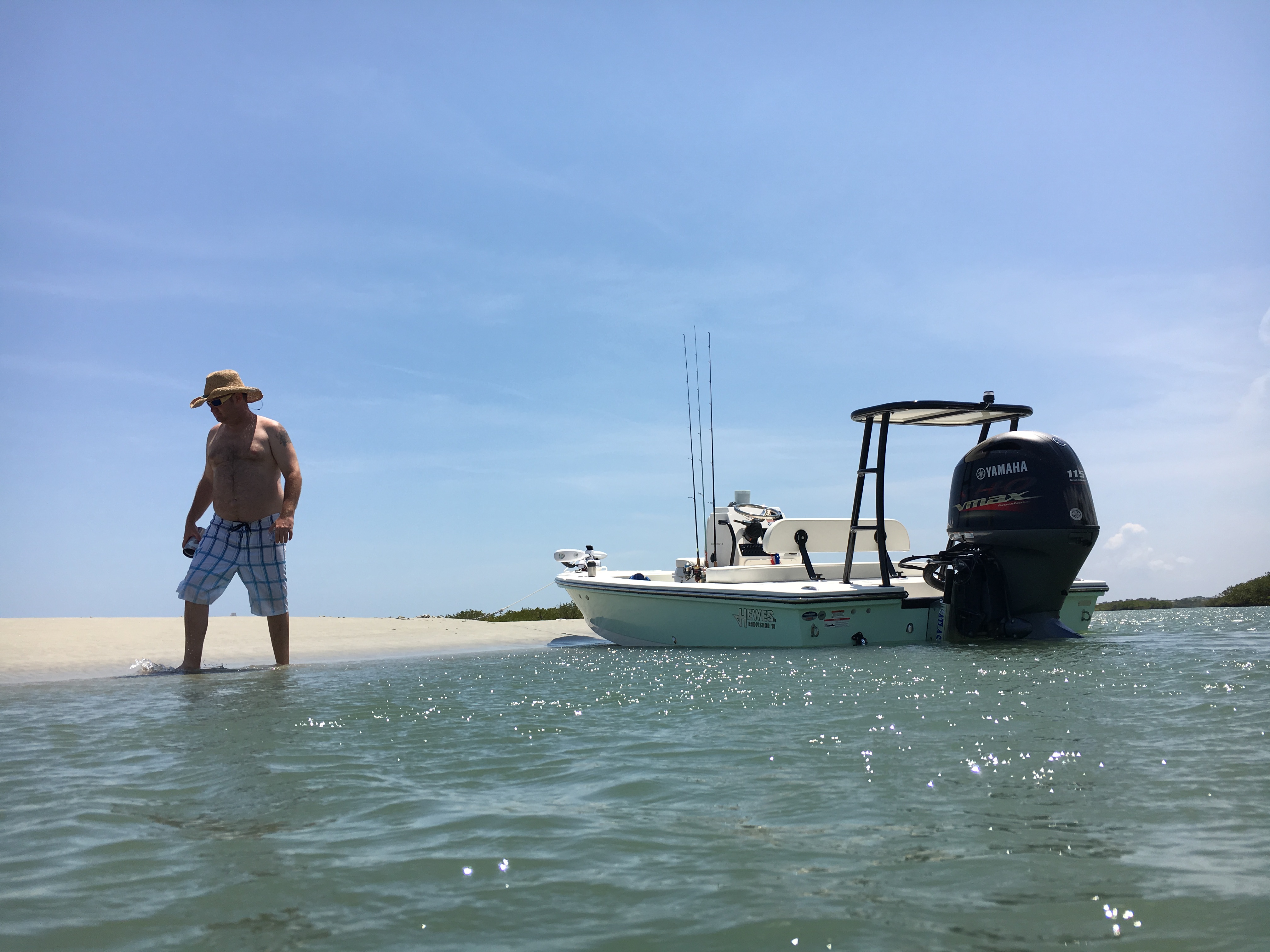 Seashells by MillhillSeashell Identification: How It Began