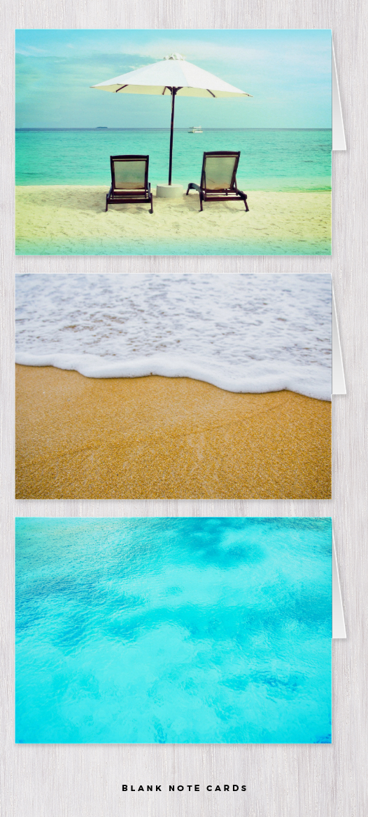 Seashells by Millhillbeach note cards