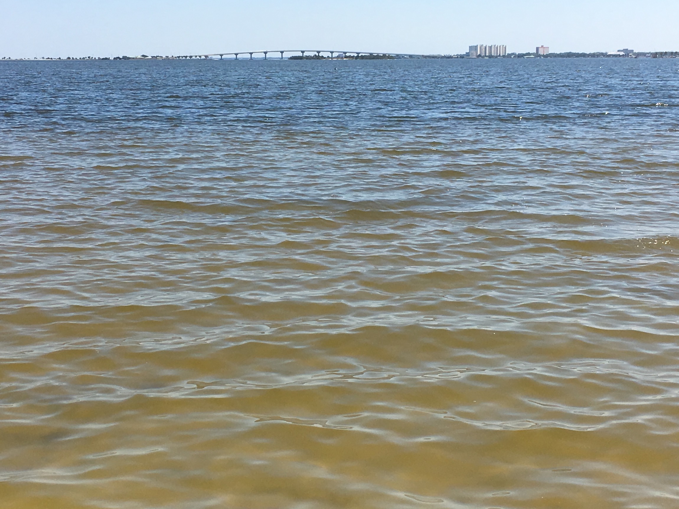 ML view bridge – Seashells by Millhill