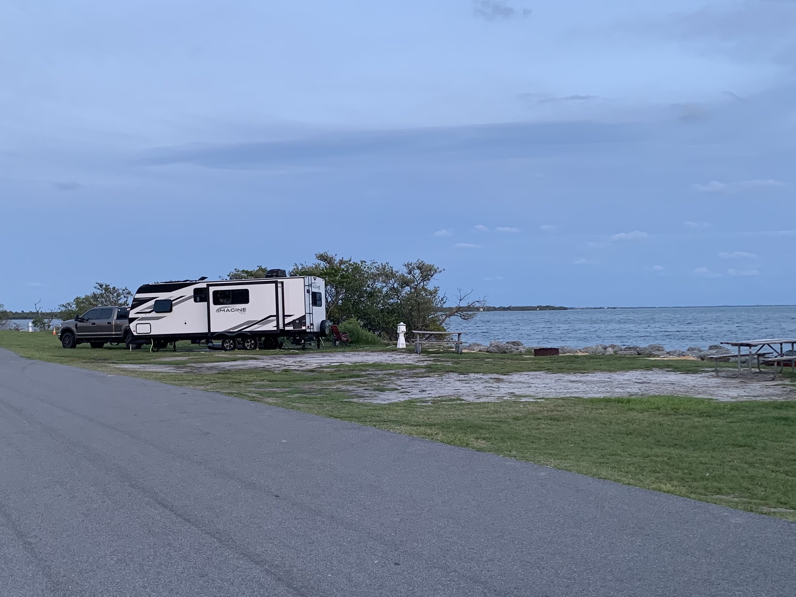 Common Florida Seashells